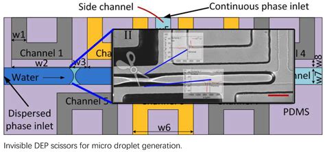 A Liquid Metal Based Dielectrophoretic Microdroplet Generator