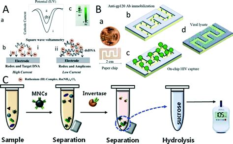 Recent Developments Towards Portable Point Of Care Diagnostic Devices