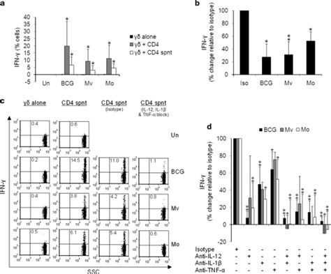 Human Interleukin 1 Beta Recombinant Reprokine