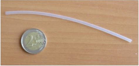 Extruded Tube Of P Vdf Trfe Ctfe With 15 Wt Dehp Download