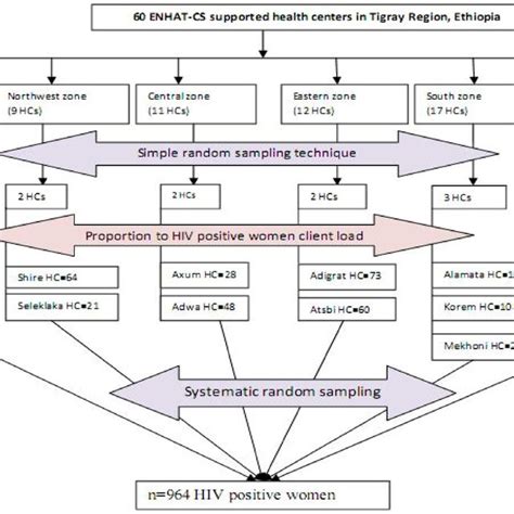 Schematic Presentation Of Sampling Procedure Download Scientific Diagram