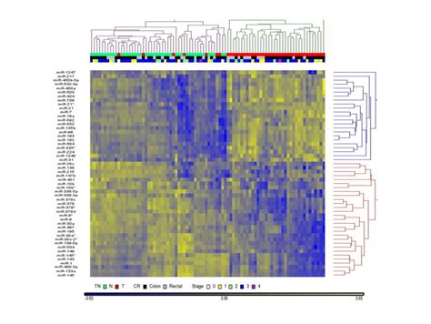 A Bias Reduction Small RNA Deep Sequencing Protocol Reveals Signature MiRNAs RNA Seq Blog