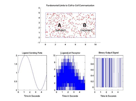 Biochemical Signaling Simulation Top Cell A Secretes A Signaling Download Scientific Diagram