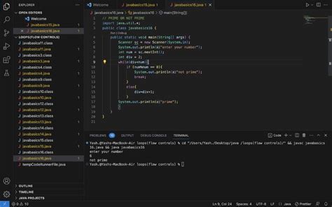 Raj On Linkedin Code Java 100daysofcode Alpha Apnacollege