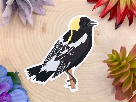 Bobolink Sticker Bobolink Decal Bobolink T Bobolink Decor