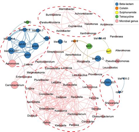 Network Analysis Showing Cooccurrences Among Args And Microbial Taxa