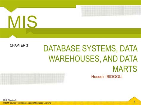 Data Base And Data Warehouse Ppt