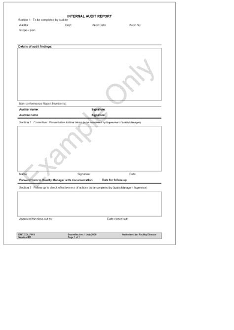 Sample Internal Audit Report Printable Pdf Download