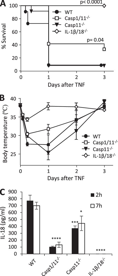 Caspase Casp 11 And Casp1 11 Deficient Mice Are Not Or Only Download Scientific Diagram