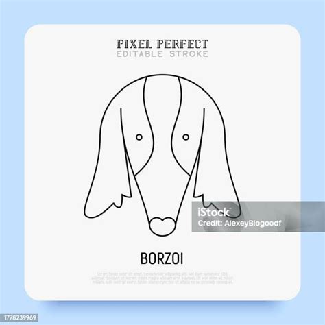 Borzoi 머리 얇은 선 아이콘입니다 개 품종 편집 가능한 획 벡터 일러스트 레이 션입니다 가축에 대한 스톡 벡터 아트 및 기타 이미지 Istock