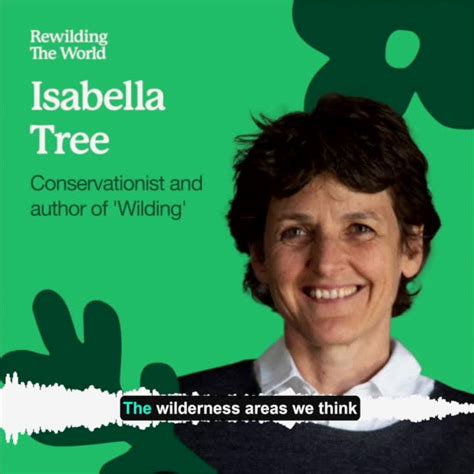 Jonathan Cranfield On Linkedin Rewilding A Window Box Interesting Indeed Delving Into The