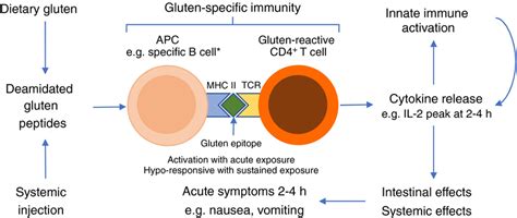 model for explanation of early symptoms induced by activation of
