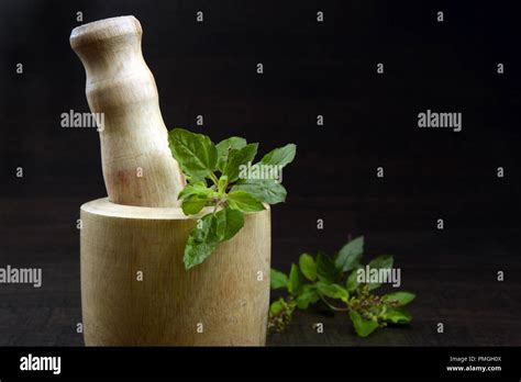 Holy Basil Turmeric Datura Fruit With Herbal Oil And Wooden Mortar On
