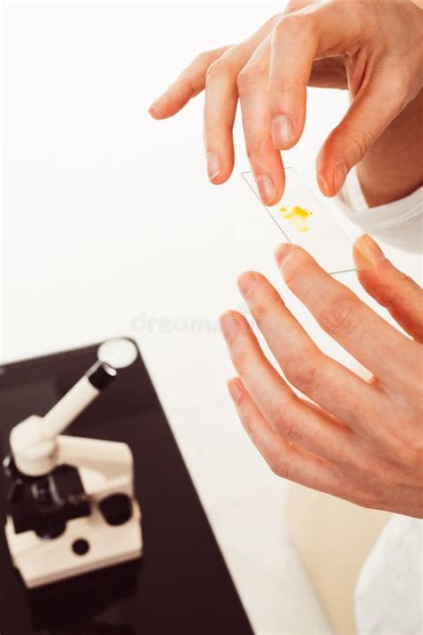Lab Research Stock Photo Image Of Cell Experiment Virus 62349346