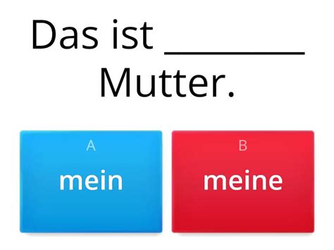 MEIN MEINE Familie Quiz