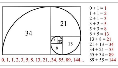 Khám Phá Dãy Số Fibonacci Và Ứng Dụng Thực Tiễn