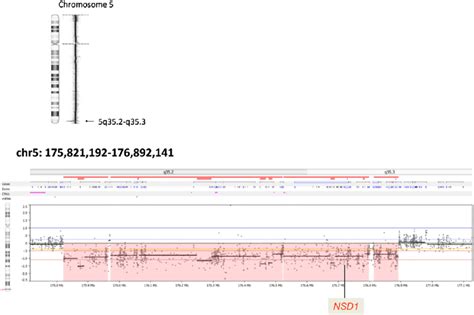 array comparative genomic hybridization on the dna extracted from the