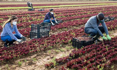 News Listing The Weslie And William Janeway Institute For Economics