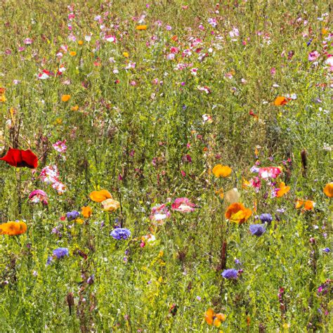 Top 7 Java Examples For Proxy Settings