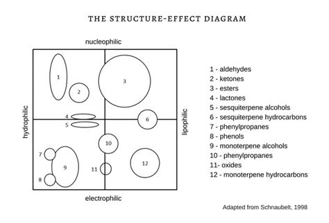Chemistry Of Essential Oils Why The Functional Group Theory Is Wrong