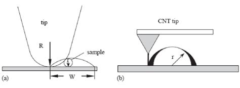 Standard A And Cnt Tip B Deconvolution Model Liqiu Guo Et Al 2005 Download