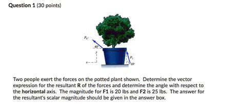Question 1 30 Points Two People Exert The Forces On The Potted Plant