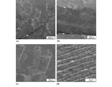 Microstructure Of 3d Printed And Sta Strengthened Material In