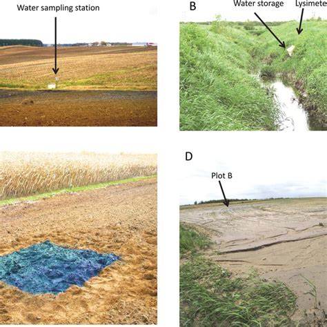 Pdf Potential Efficiency Of Riparian Vegetated Buffer Strips In