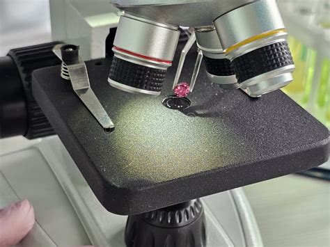 The Concept Of Laboratory Research In The Field Of Geology Analysis