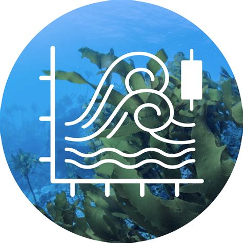 Marine Environmental Indicators Blue Cloud 2026