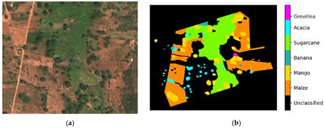 Band Ranking Via Extended Coefficient Of Variation For Hyperspectral