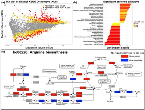 Picrust2 Kegg Orthology Ko Prediction Distinction And Gene Set