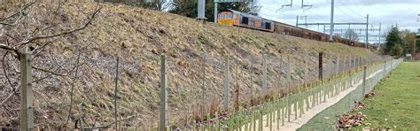 Mitigation Mend The Gap Mitigation Mend The Gap