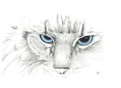 Chewie Pencil Drawing