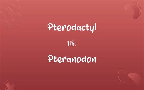 Pterodactyl Vs Pteranodon Know The Difference