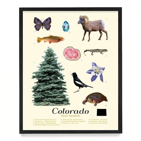 Colorado Symbols Pictures 2025