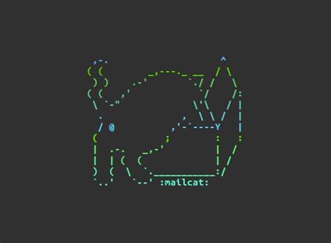 Arnaud Pavon On Linkedin Github Sharsilmailcat Find Existing Email