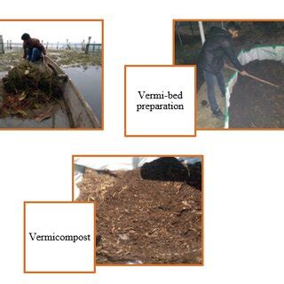 Measurement And Signicance Of Performance Parameters For Vermicomposting Download Scientific