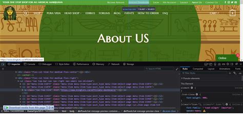 Php Show A Menu Item Based On Specific User Role In Woocommerce