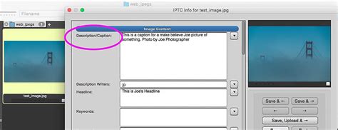 Automatic Captions In Wordpress Carl Seibert Solutions