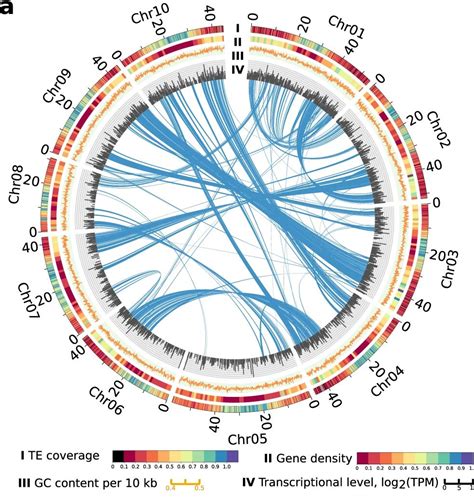 Lorenzo Carretero Paulet Posted On Linkedin
