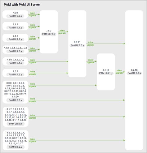 8218 Pam Ui Server Upgrade Paths Osirium Pam Guide 8218