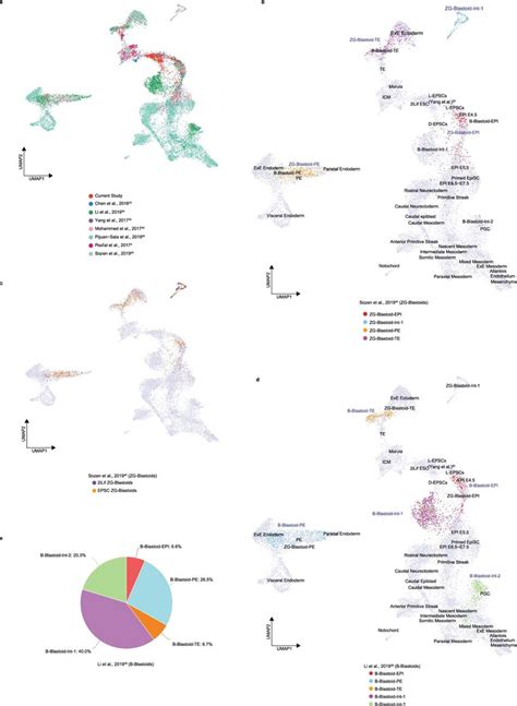 re analysis of transcriptional profiling data of blastoid cells related