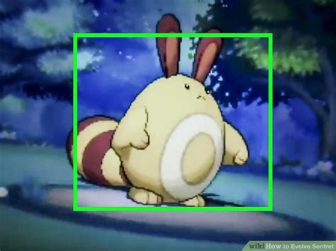 How To Evolve Sentret 5 Steps With Pictures WikiHow