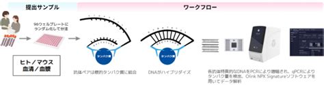 Olink® Target 48 及びolink® Target 96 Kotaiバイオ受託サービス