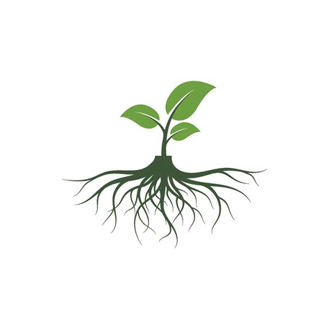 Tree Roots Vector Icon Illustration Design Vector Art At Vecteezy