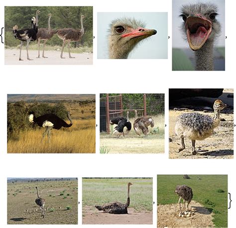 Importing And Exporting Elementary Introduction To The Wolfram Language