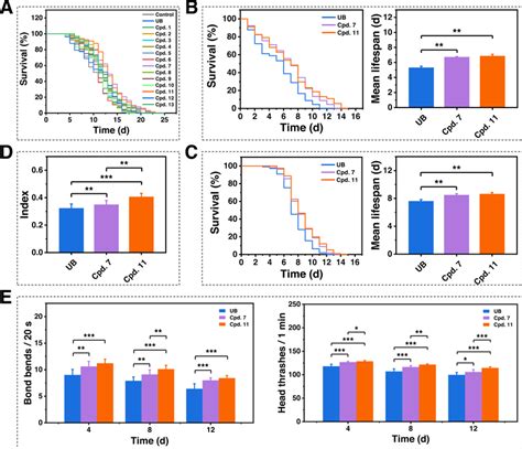 Evaluation Of The Anti Aging Effect Of Amide Derivatives Of Ub On C Download Scientific
