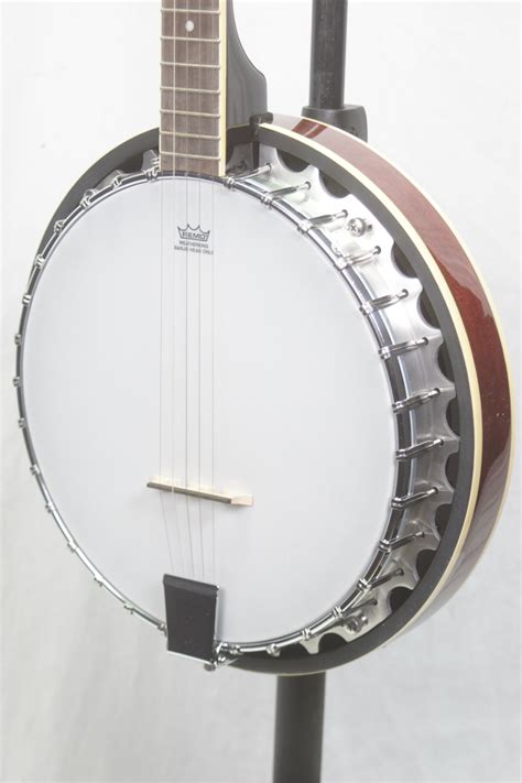 New Savannah Sb110 Planetary 5 String Banjo For Sale 3