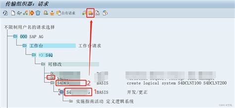sap stms传输请求 sap scc4 csdn博客